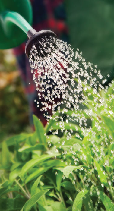 24 watt led panel white rectangle 6500 candela IP20 for surface ...